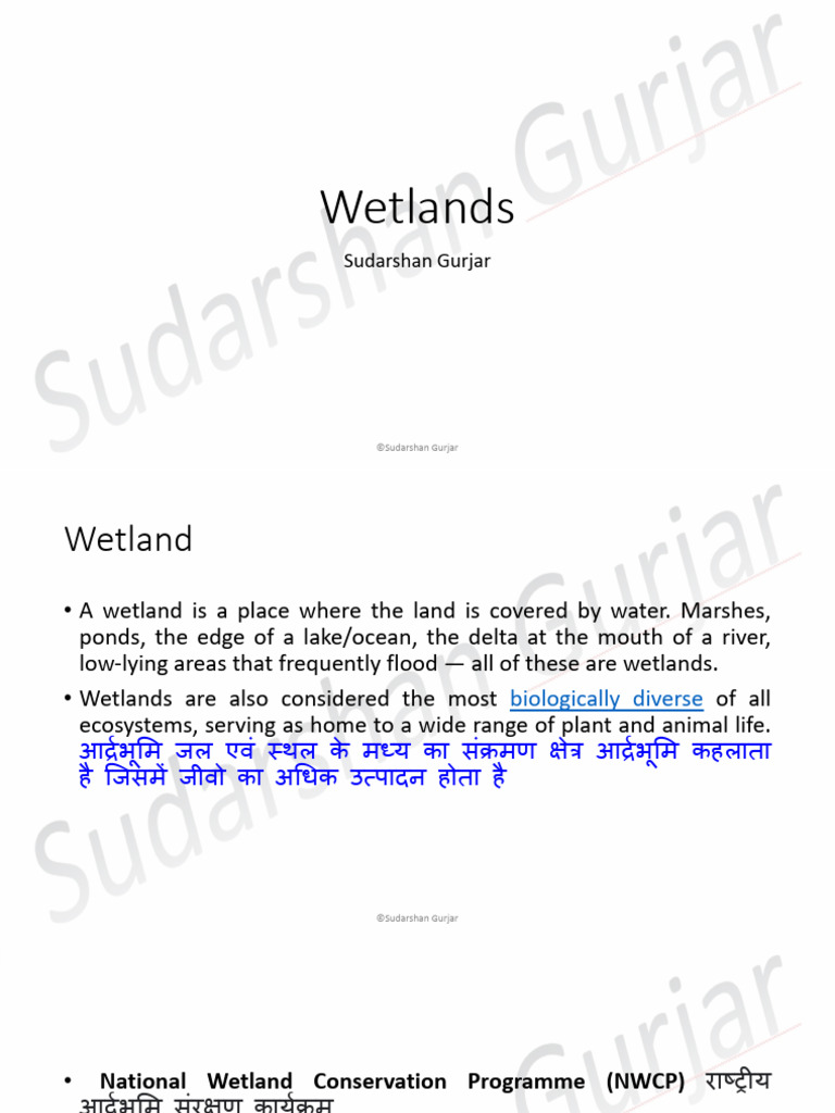 Wetlands | PDF | Marsh | Wetland