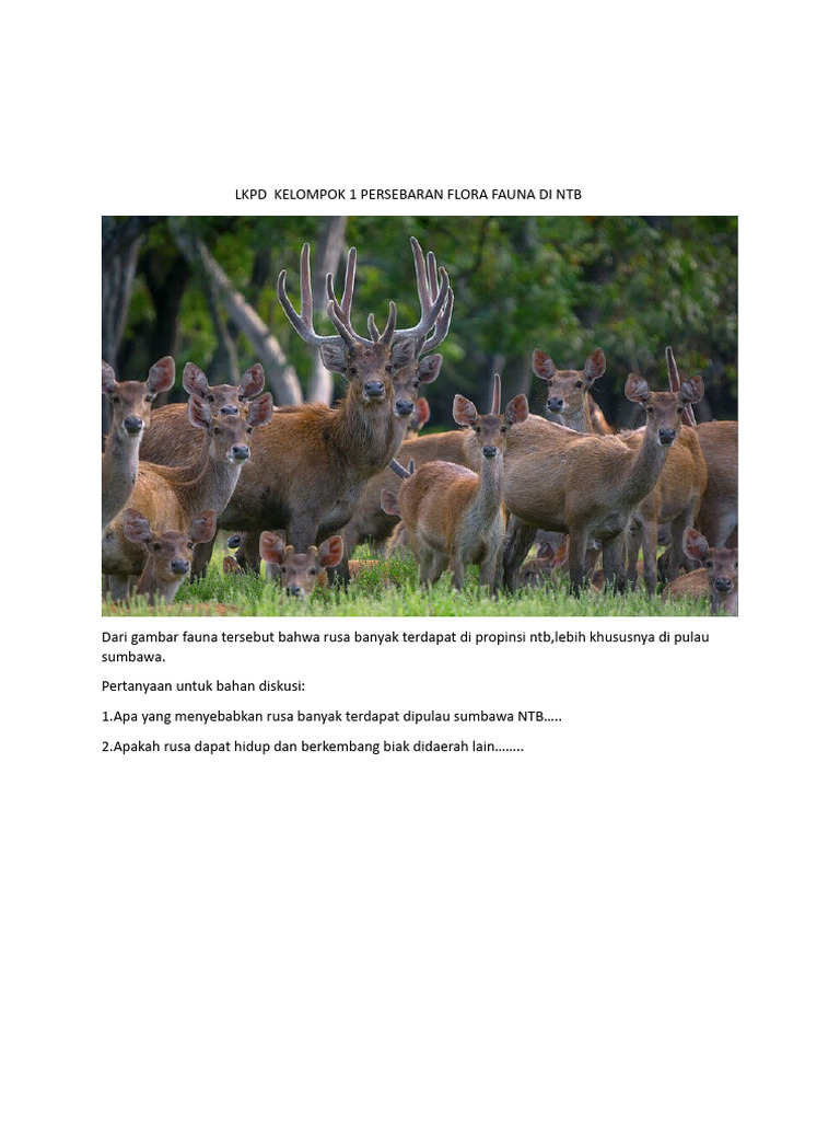 LKPD Kelompok 1 Persebaran Flora Fauna Di NTB | PDF