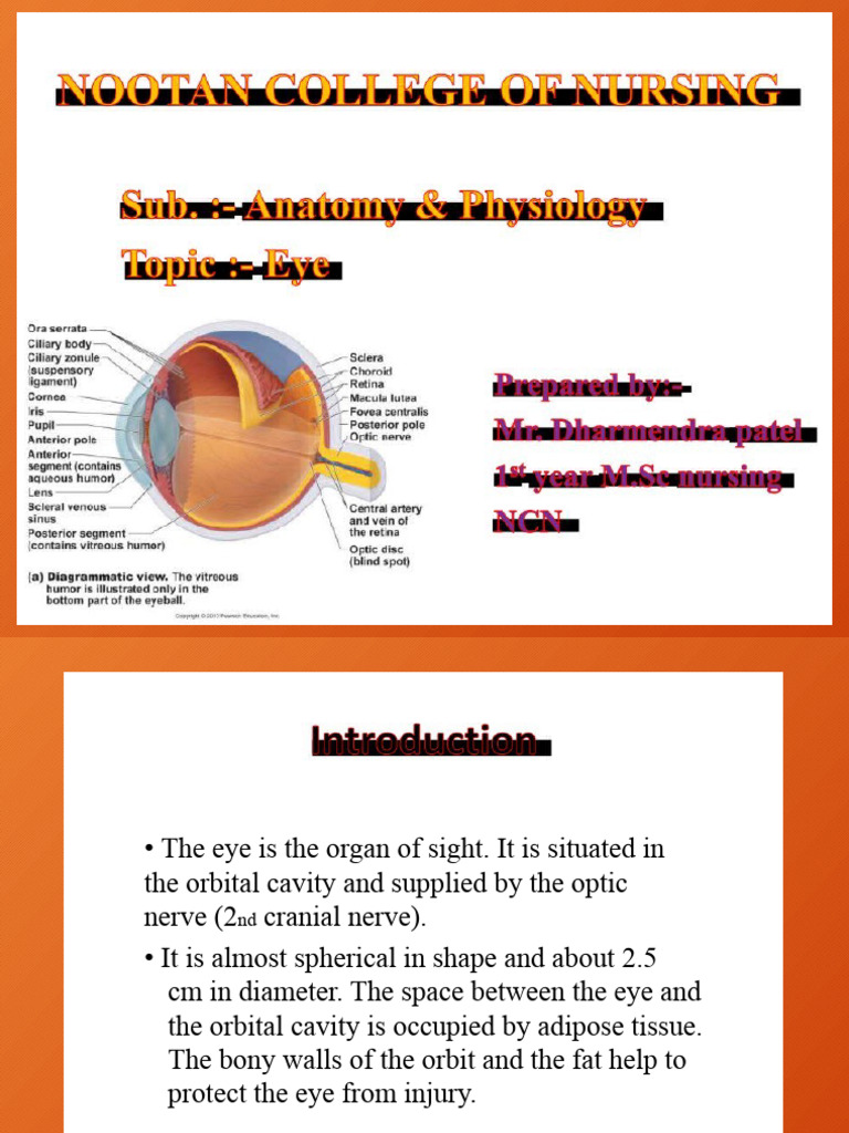 Human Eye Power Point | PDF | Human Eye | Eye