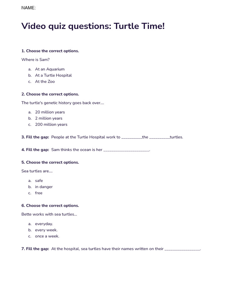 Turtle Time Video Quiz | PDF