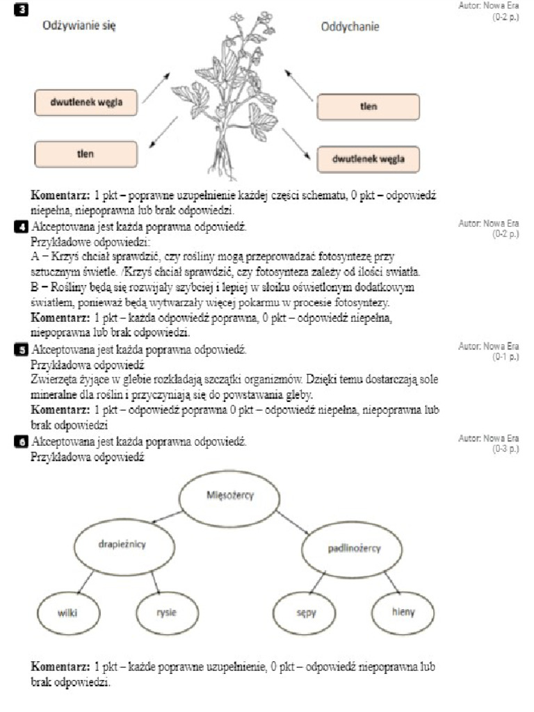 Przyroda Klasa 4 Dział 3 | PDF