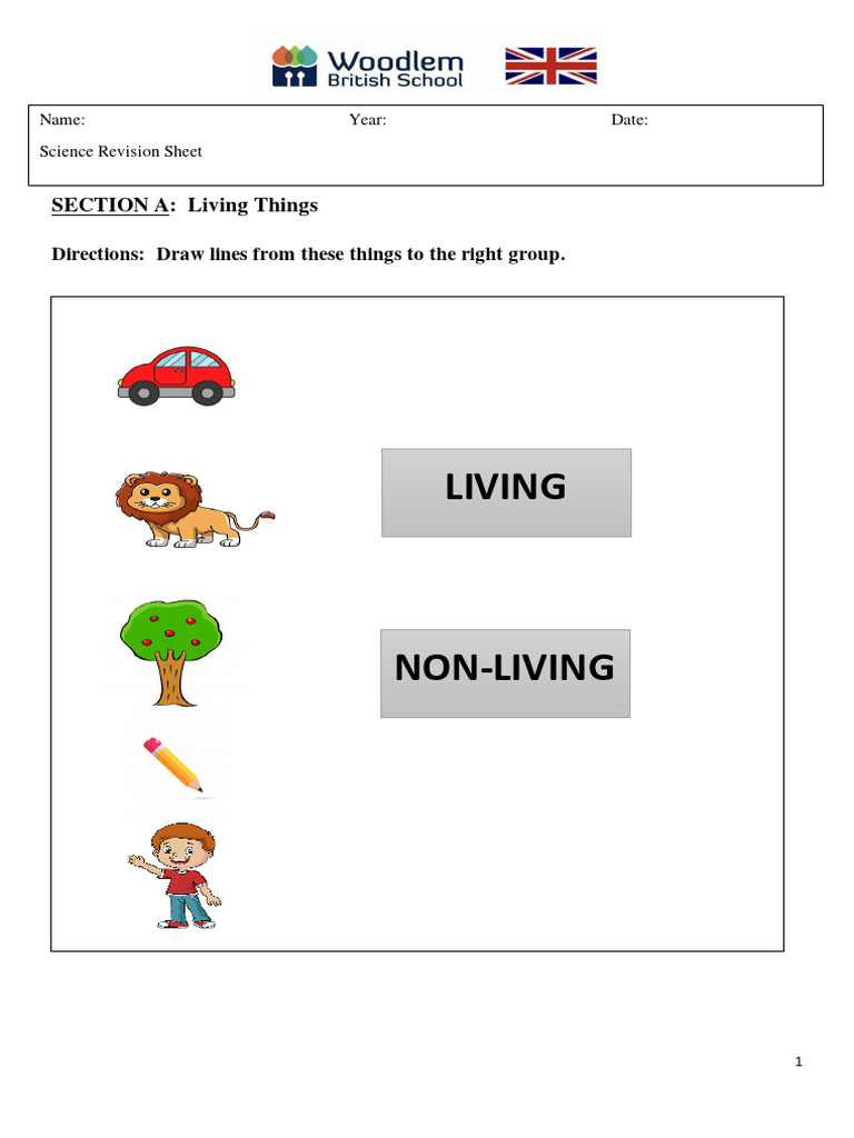 Year 1D - Science Revision With Asnwer Sheet | PDF