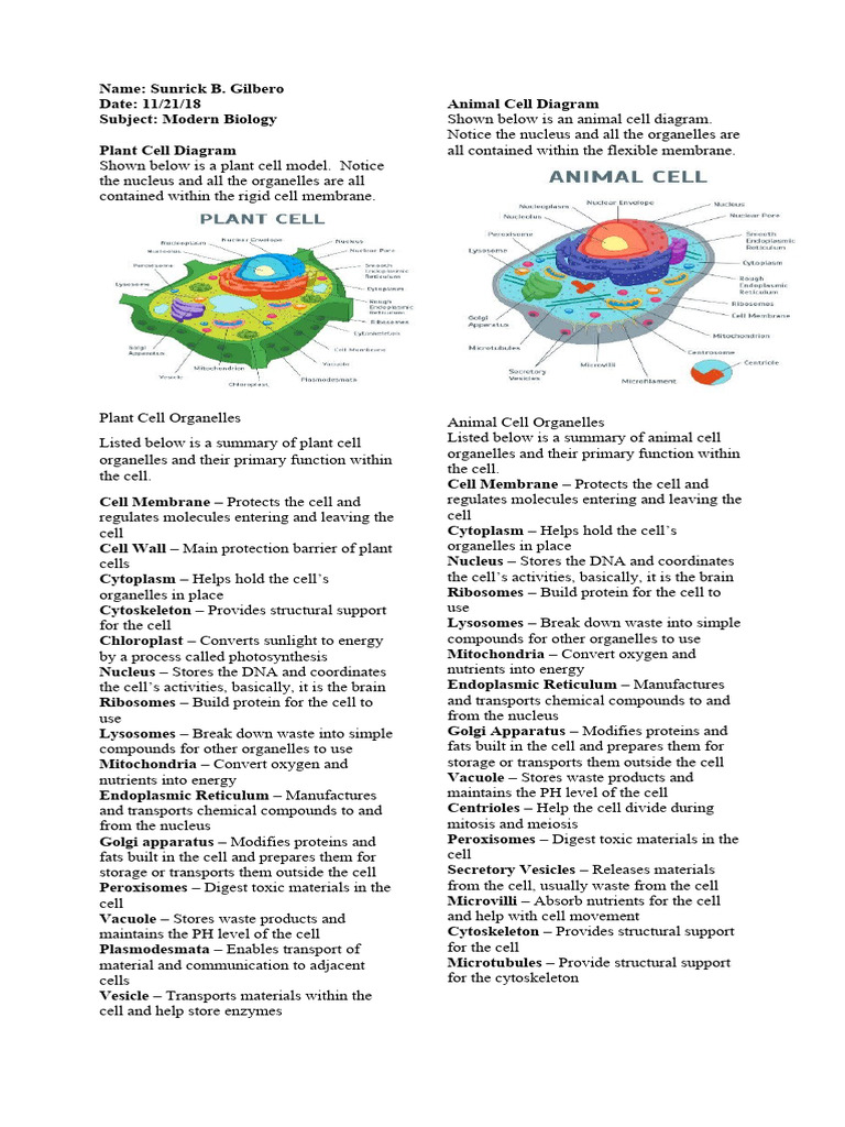 Modern Bio | PDF | Cell (Biology) | Eukaryotes