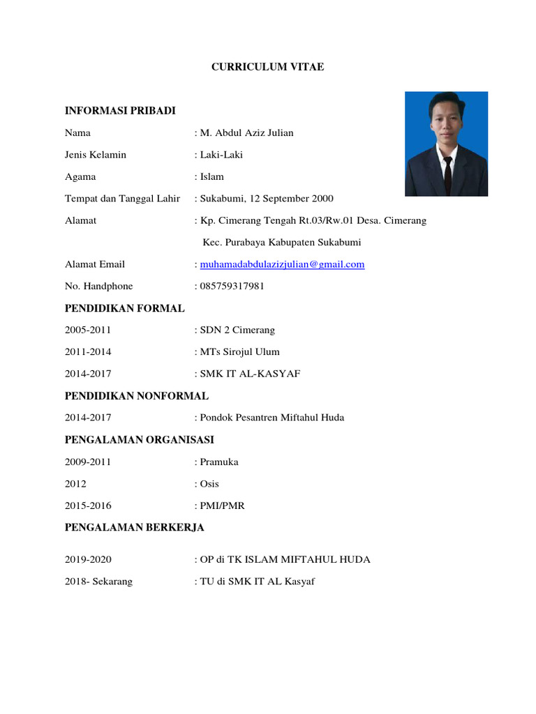 CURRICULUM VITAE Abdul Aziz | PDF