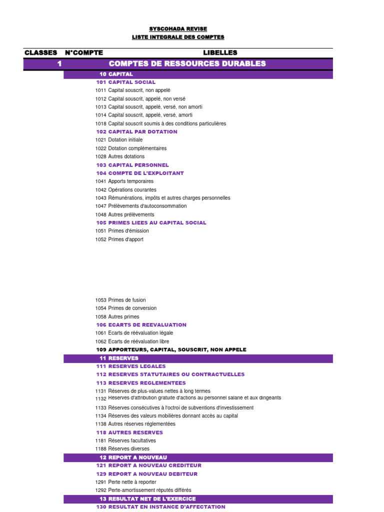 Plan Comptable Syscohoda Revise | PDF