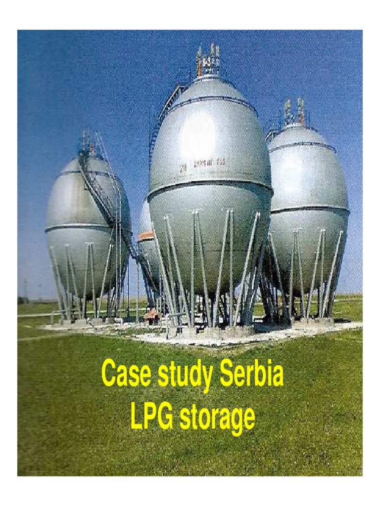 11 Case Study Safety Report Serbia | PDF | Risk | Emergency Management