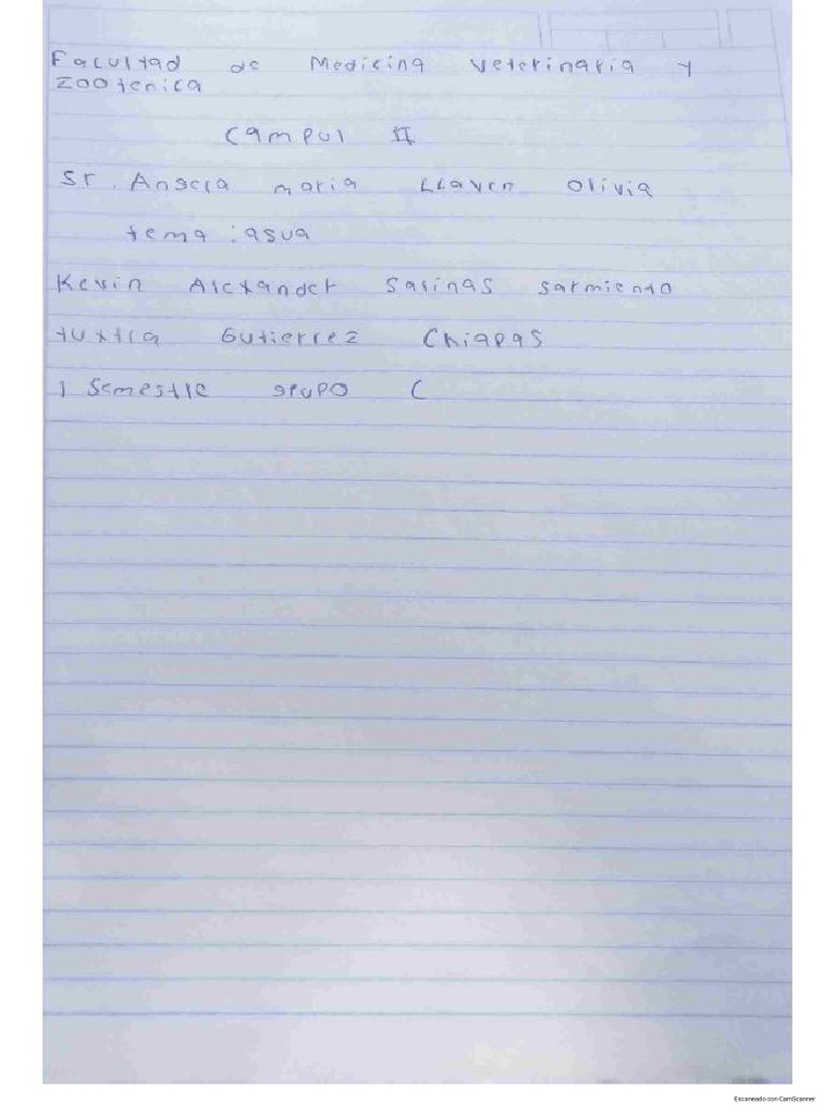 Kevin Alexander Salinas Sarmiento - Compressed | PDF