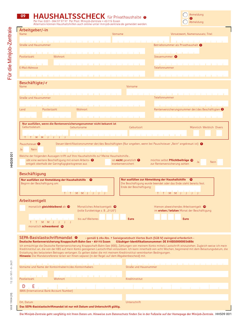 Haushaltsscheck Formular | PDF