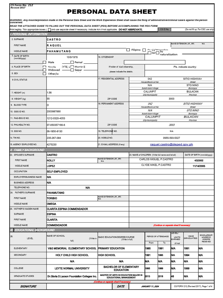 PDS 2021 Raquel P. Castro 1 | PDF | Government