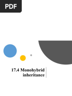 2C.2 Patterns of Inheritance PPT | PDF | Dominance (Genetics) | Zygosity