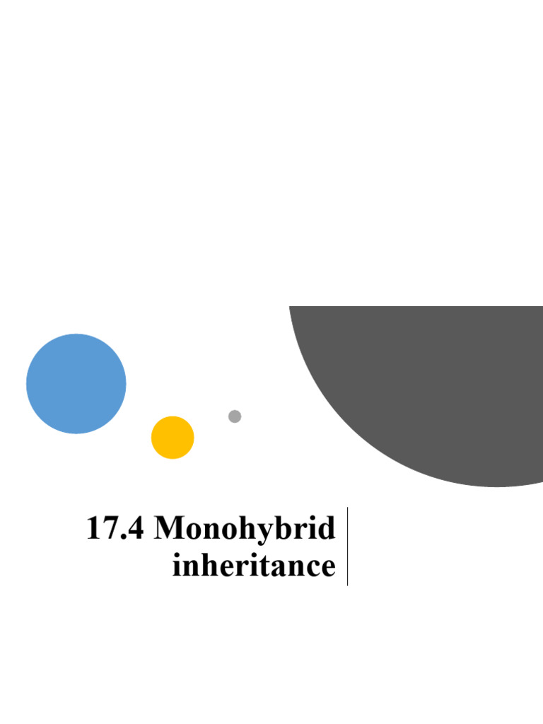 Monohybrid Inheritance Explained | PDF | Dominance (Genetics) | Genotype