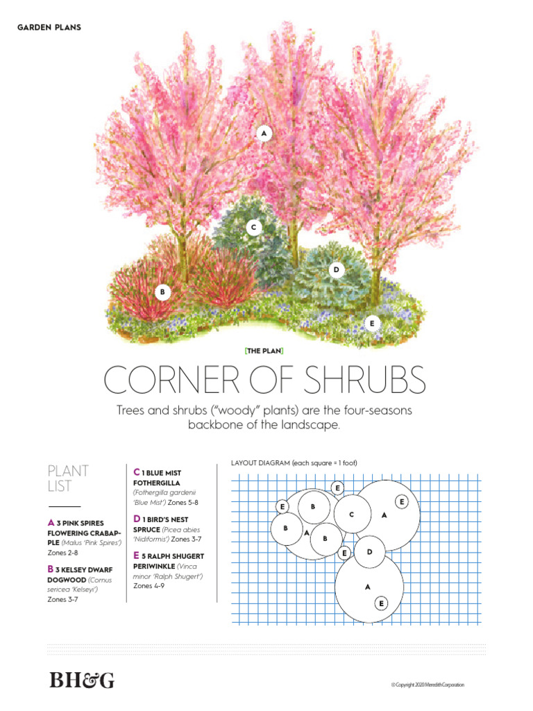 BHG Corner of Shrubs Garden Plan | PDF