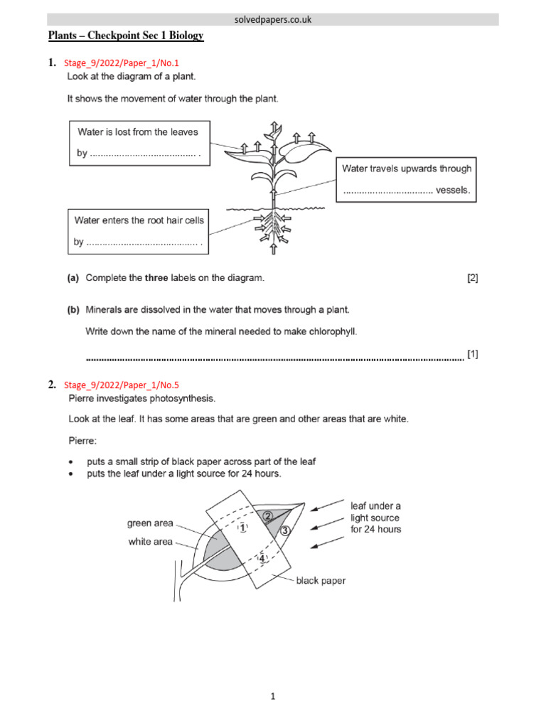 2022 14 Plants Checkpoint Sec 1 Biology Progression | PDF