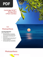 BTB Experiment: Photosynthesis & Respiration | PDF | Photosynthesis ...