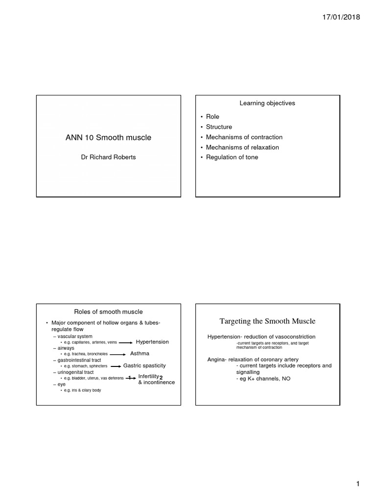 Smooth Muscle | PDF | Muscle Contraction | Calcium In Biology