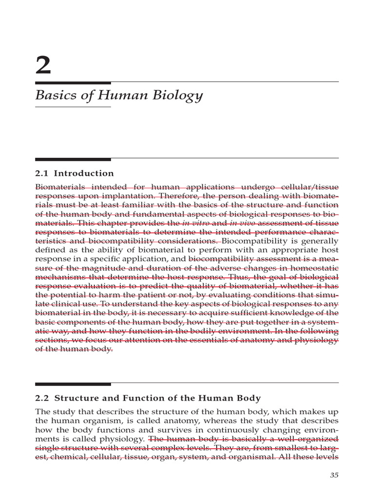 Basics of Human Biology | PDF | Connective Tissue | Epithelium