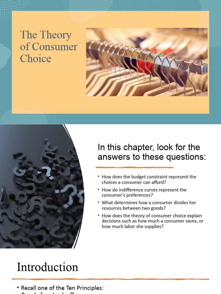 Consumer Choice Theory Explained | PDF | Utility | Consumer Behaviour