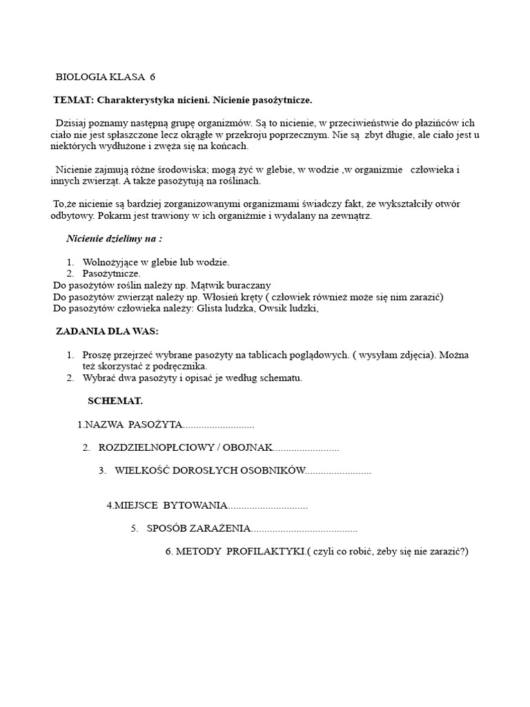 NIcienie Klasa 6 | PDF