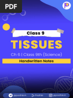 Cbse Class Ix Animal Tissue Flow Chart | PDF | Epithelium | Tissue ...