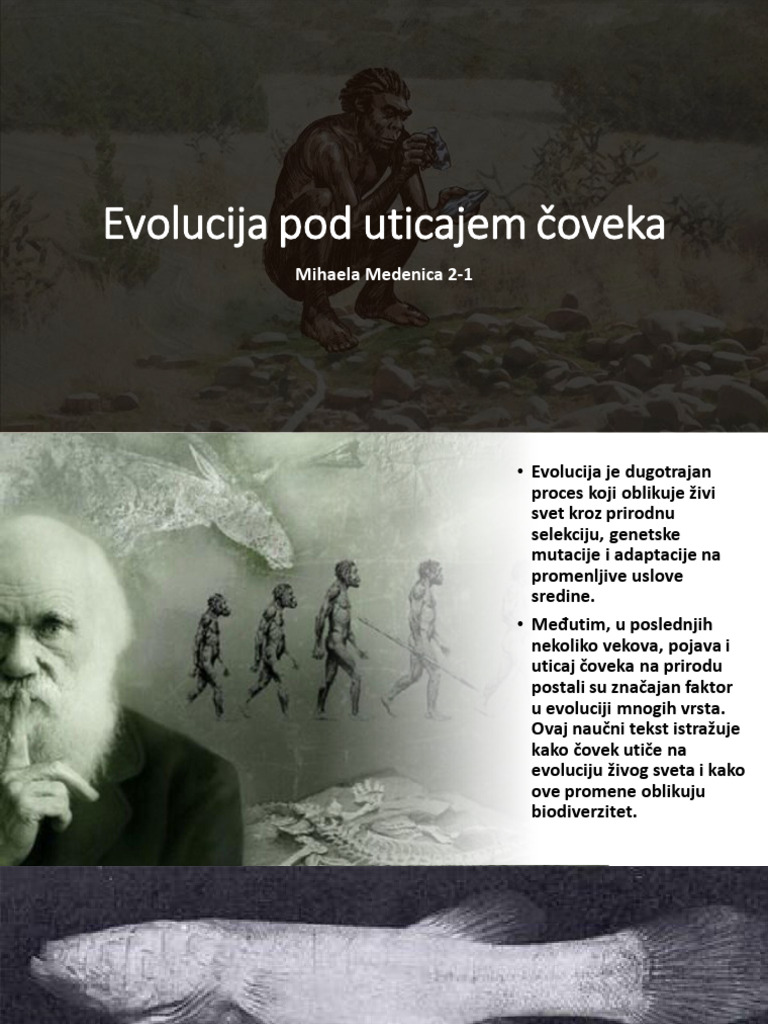 Evolucija Pod Uticajem Coveka Prezentacija | PDF