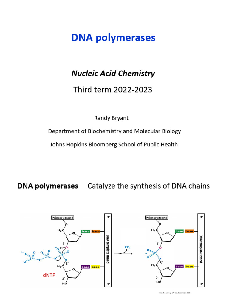 Lecture 2 - 2023 - DNA Polymerases | PDF | Taq Polymerase | Primer ...