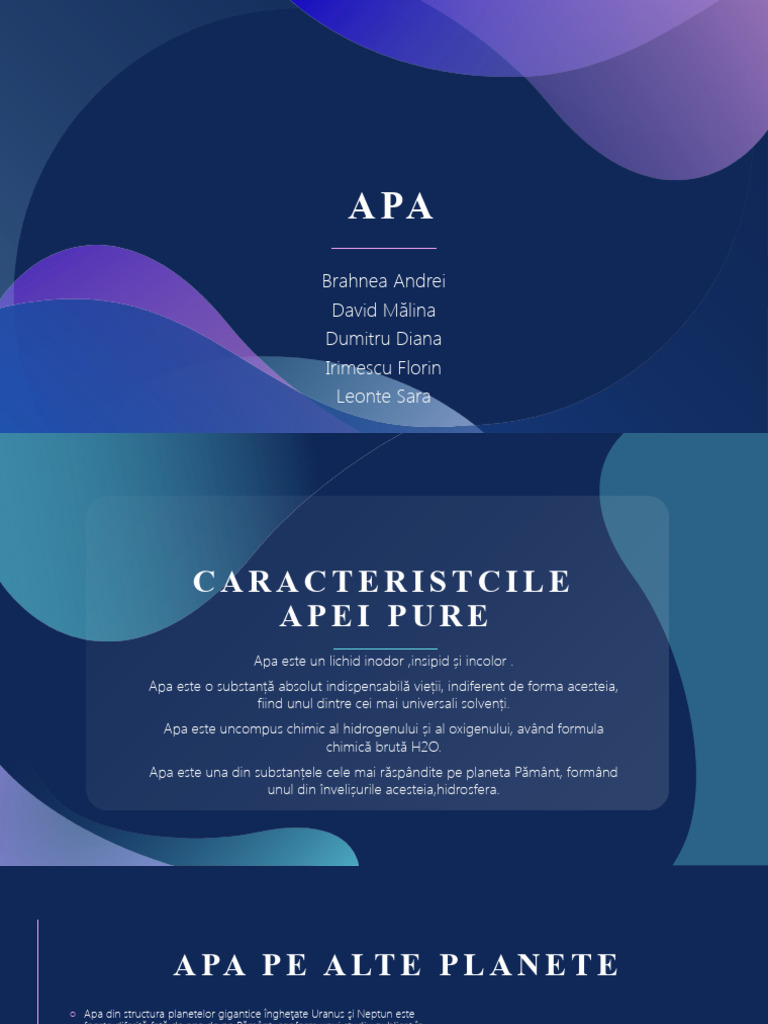 APA Stiinte Proiect | PDF