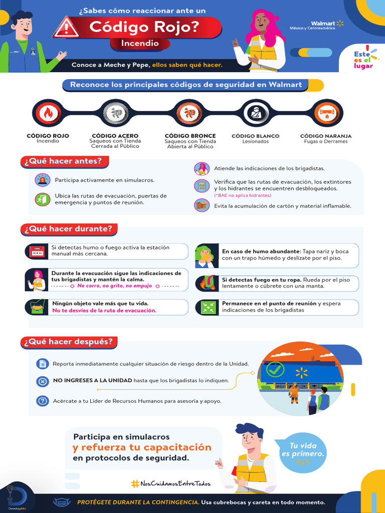 Infografía - Incendios General | PDF