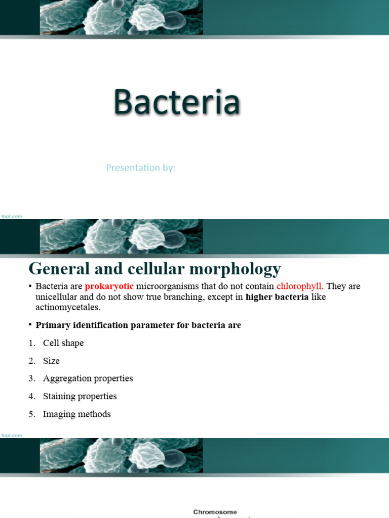Bacteria 1 | PDF | Wellness | Science & Mathematics