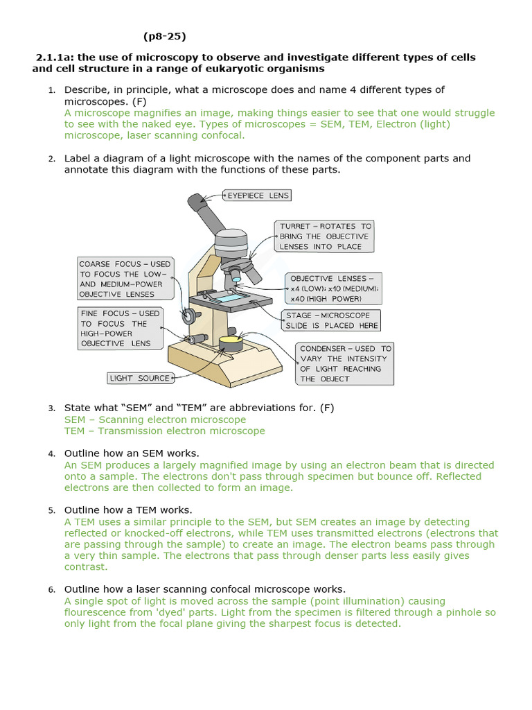 Microscopy Techniques in A-Level Biology | PDF