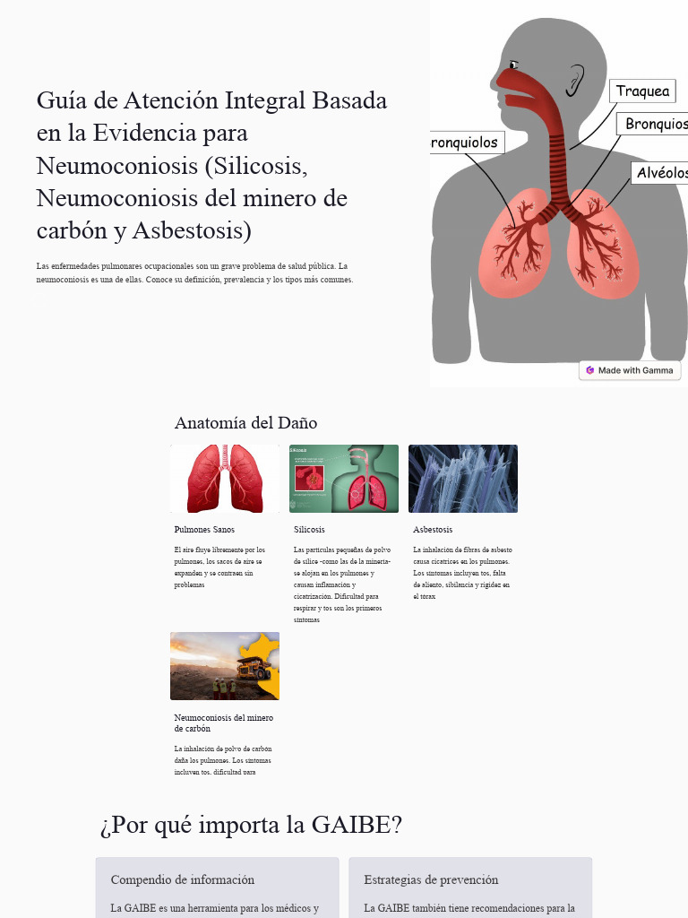 Guia de Atencion Integral Basada en La Evidencia para Neumoconiosis Silicosis Neumoconiosis Del ...