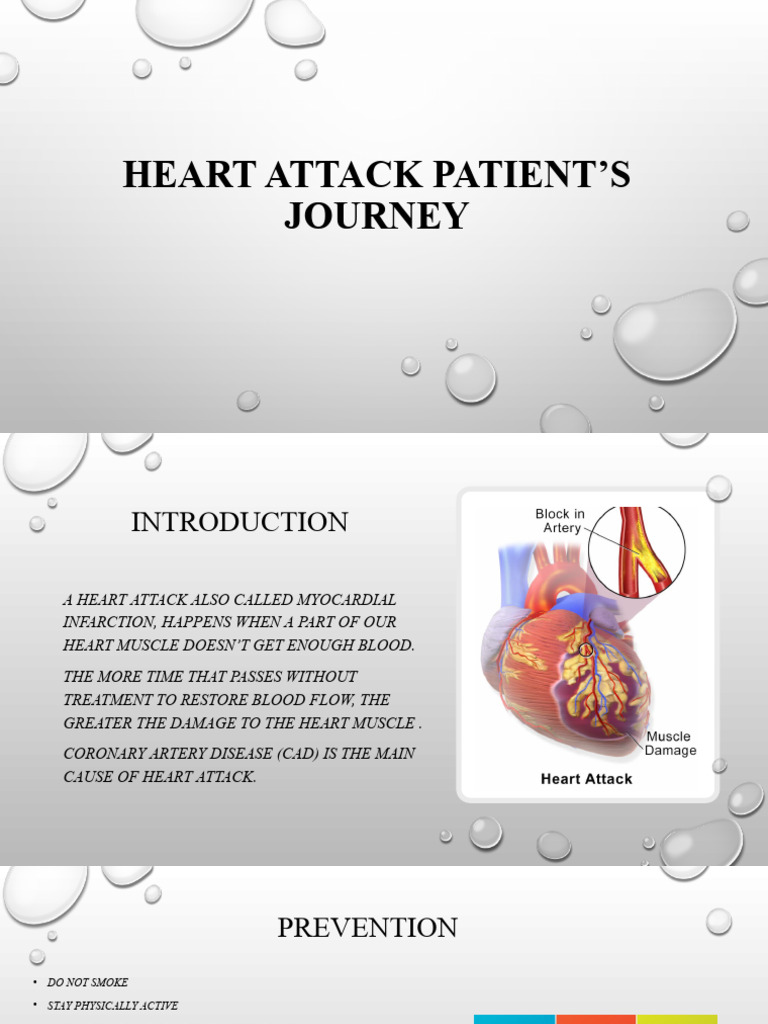 Heart Attack | PDF | Myocardial Infarction | Heart