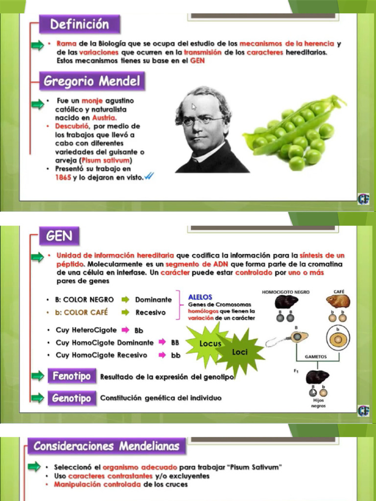 Leyes de Mendel | PDF