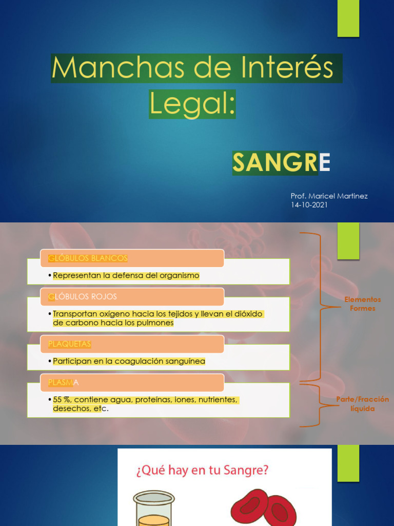 Tejido Hemático | PDF