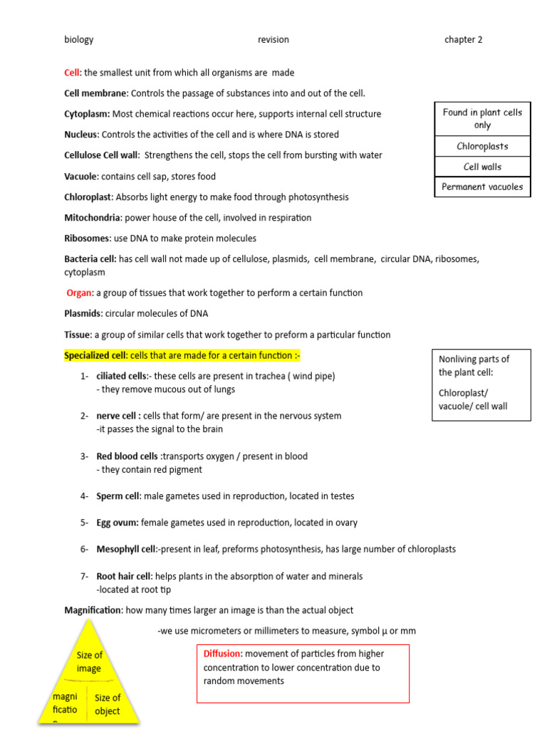 Biology Igcse Chapter 2 Summary | PDF | Cell (Biology) | Chloroplast