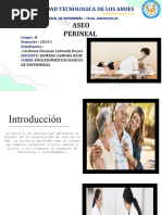 Protocolo de Aseo Perineal Femenino | PDF | Higiene | Lavado de manos