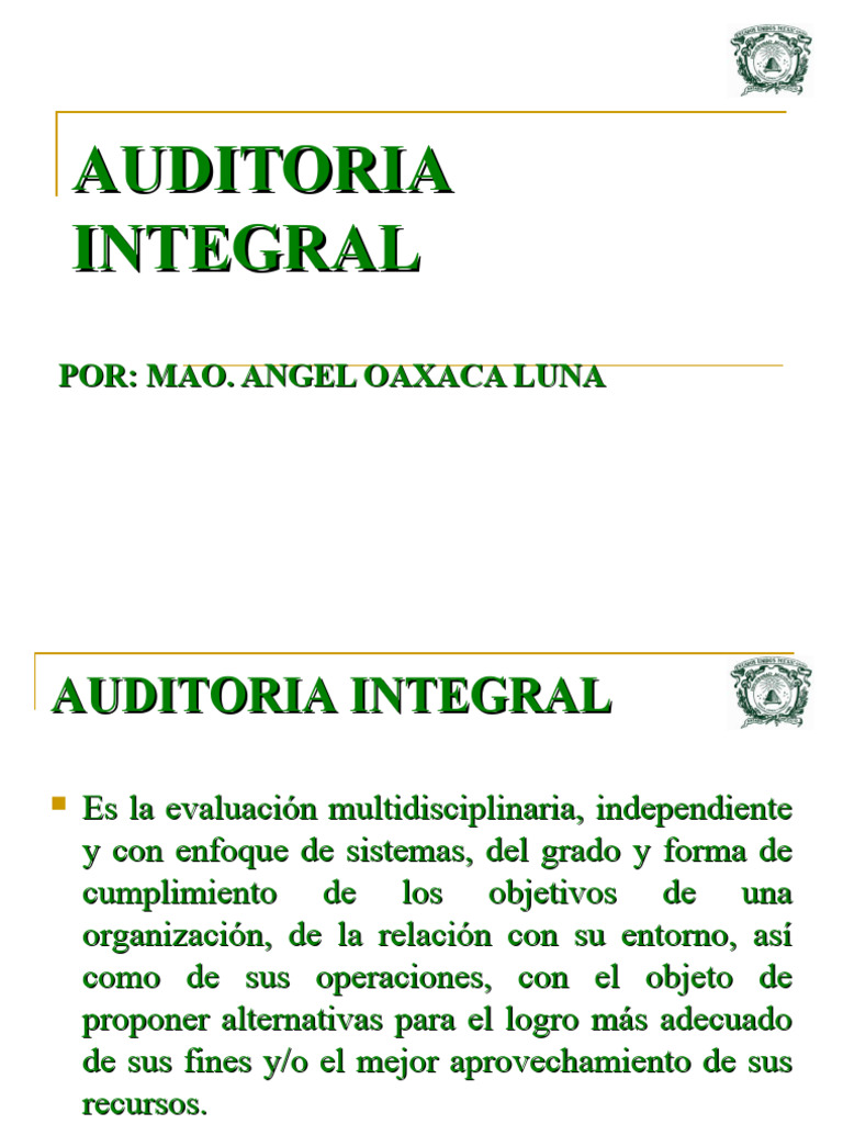 Auditori A Integral | PDF | Auditoría | Business