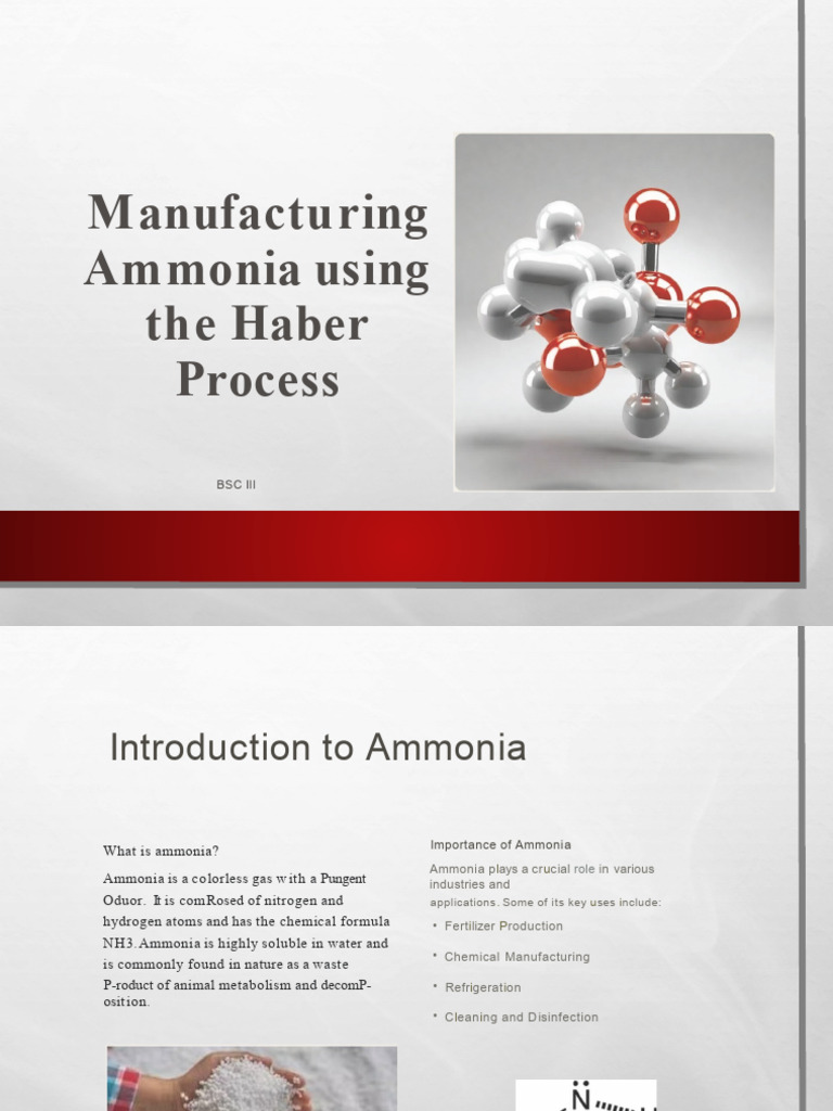 Manufacturing Ammonia Using The Haber Process: BSC Ill | PDF | Ammonia ...