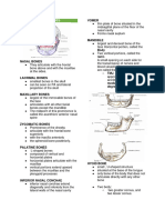 Facial and Skull Bone Positioning | PDF