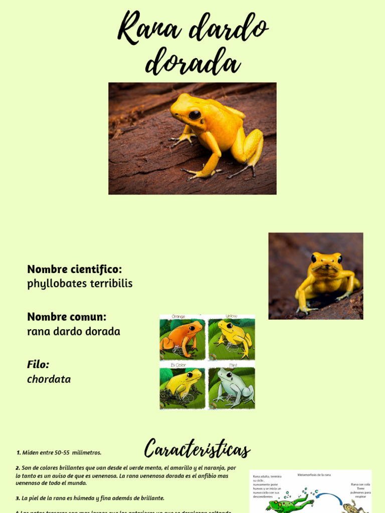 Agregar Un Título | PDF