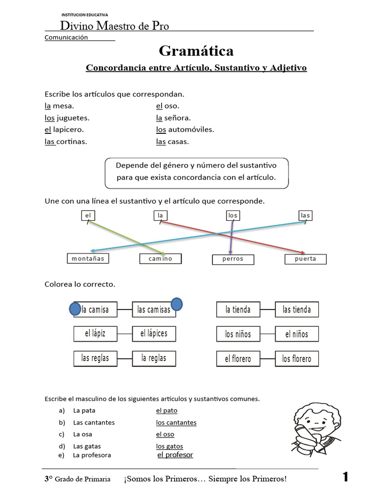 Concordancia de Adjetivos y Sustantivos | PDF | Adjetivo | Sintaxis