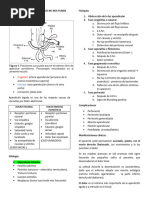 Signos Clínicos de Apendicitis Aguda | PDF | Gastroenterología