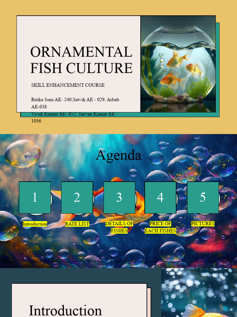 Ornamental Fish ? Culture | PDF | Fishkeeping | Aquatic Animals