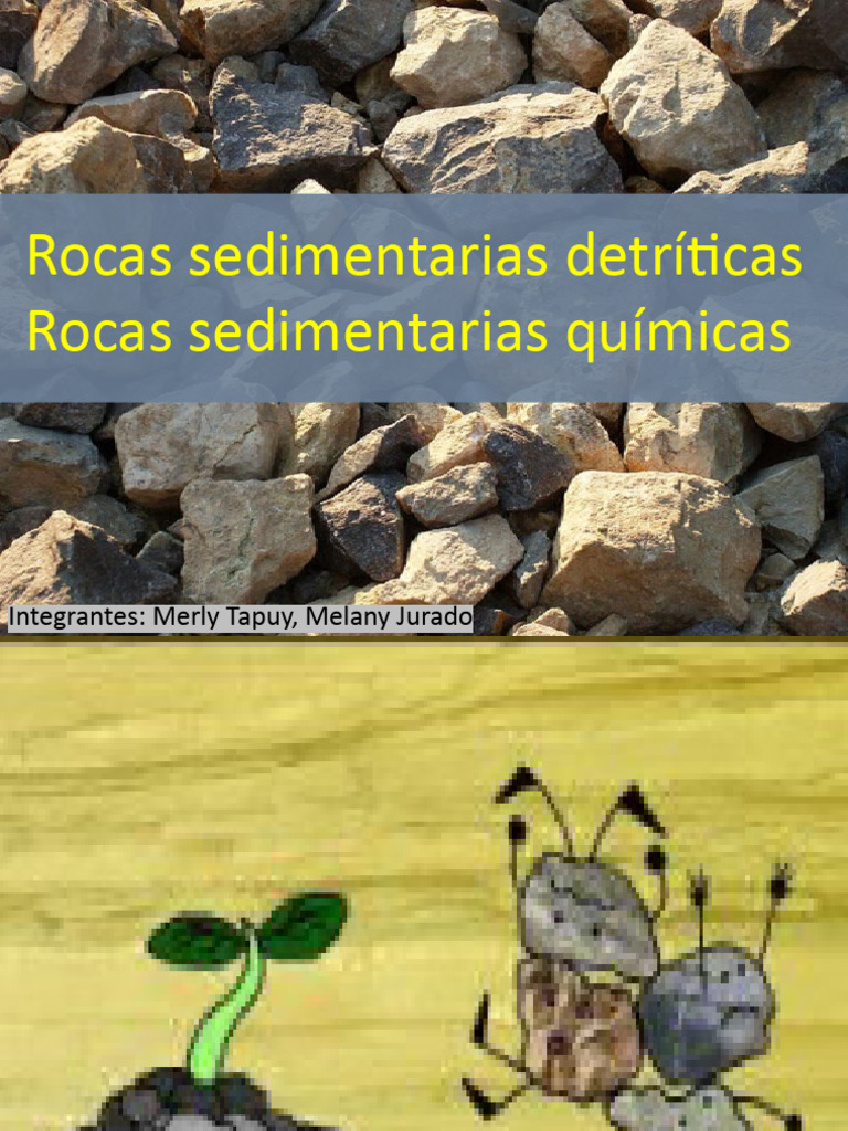 Presentacion de Rocas Sedimentarias | PDF | Roca clástica | Roca (geología)