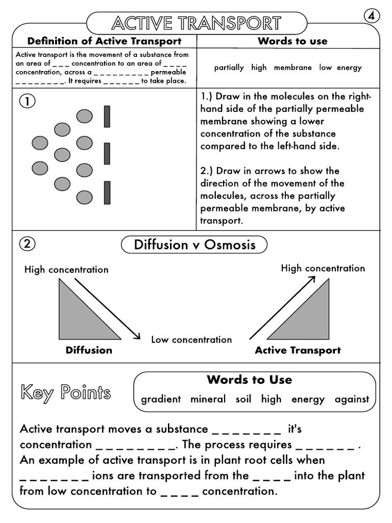 IGCSE Biology Active Transport Worksheet | PDF