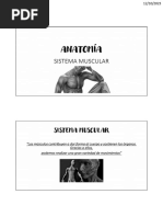 Miotomas - Definición y Pruebas - Kenhub | PDF | Codo | Neuroanatomía