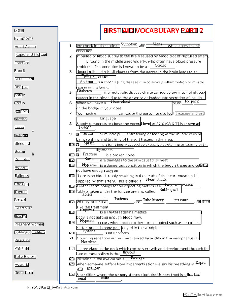 First Aid Vocabulary | PDF