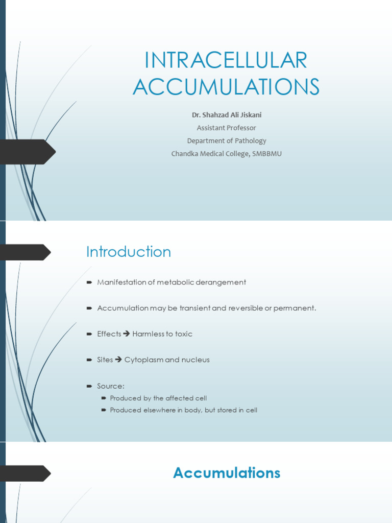 Intracellular Accumulation | PDF