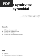 Syndrome pyramidal : définitions et signes | PDF | Nerf | Accident ...