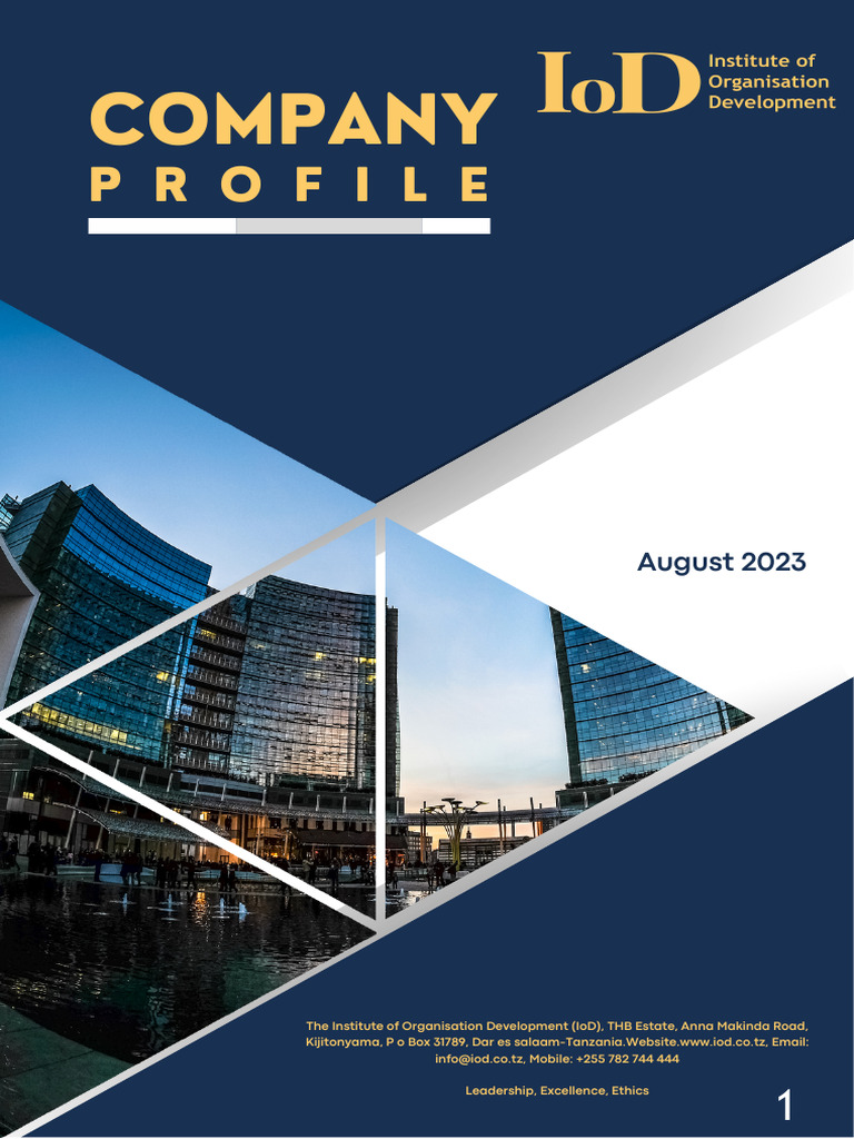 IoD Profile - PDF 2 | PDF | Governance | Digital Marketing
