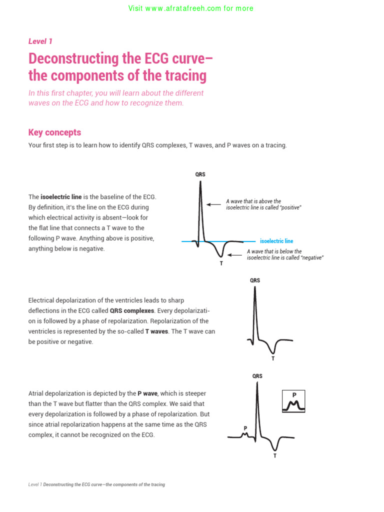 at The Blink of An Eye-Deconstructing The ECG Curve - Fact Sheet | PDF ...